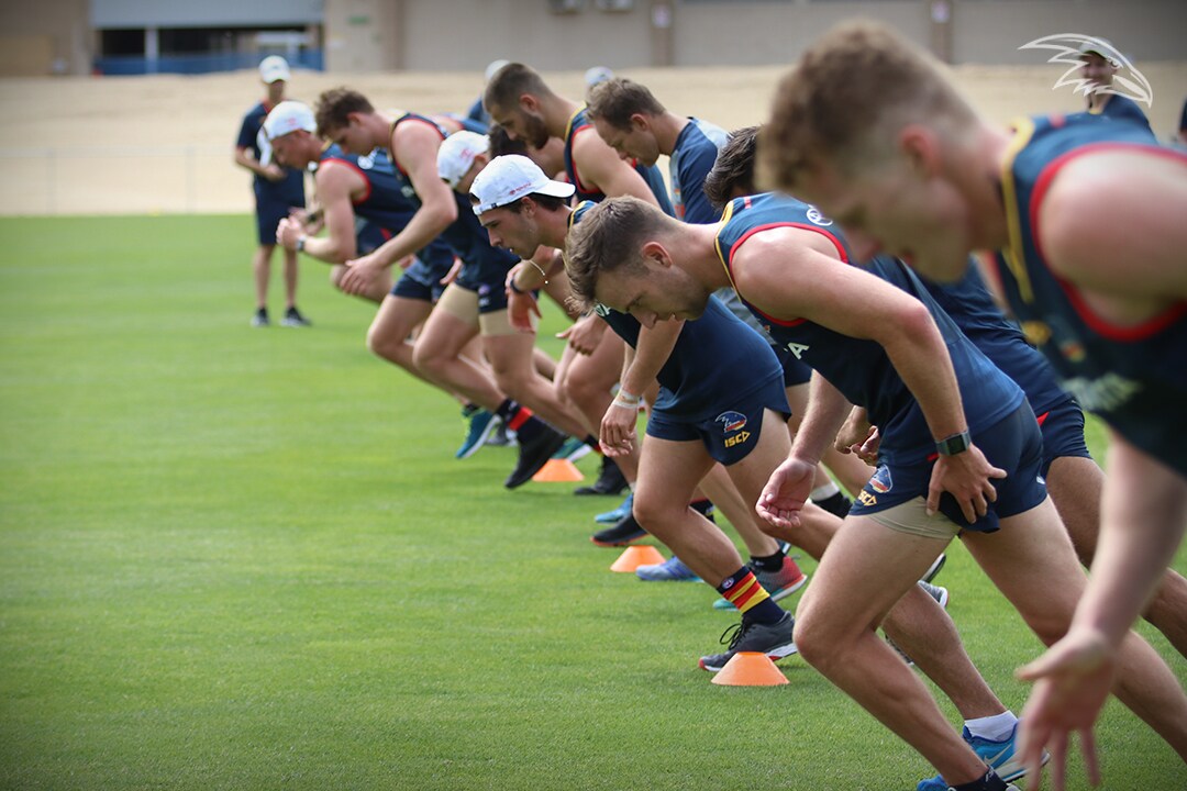 Gallery: Pre-season, November 12